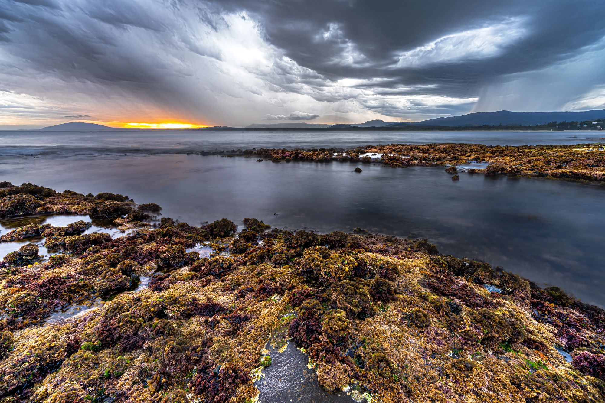 Calm before the storm – Norfolk and Co